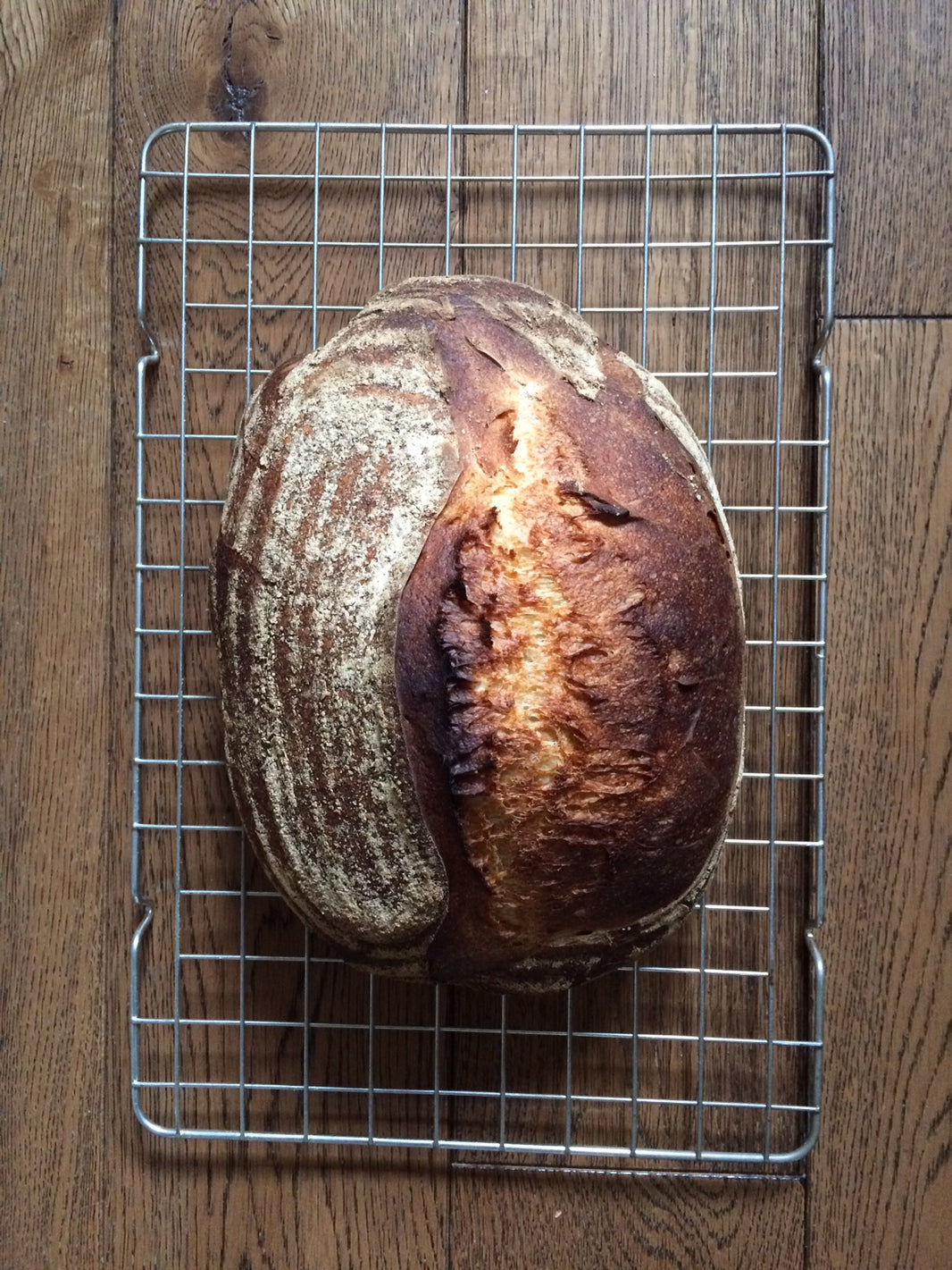 Bannetons, Brotforms, Proving Baskets – TheBreadCompany